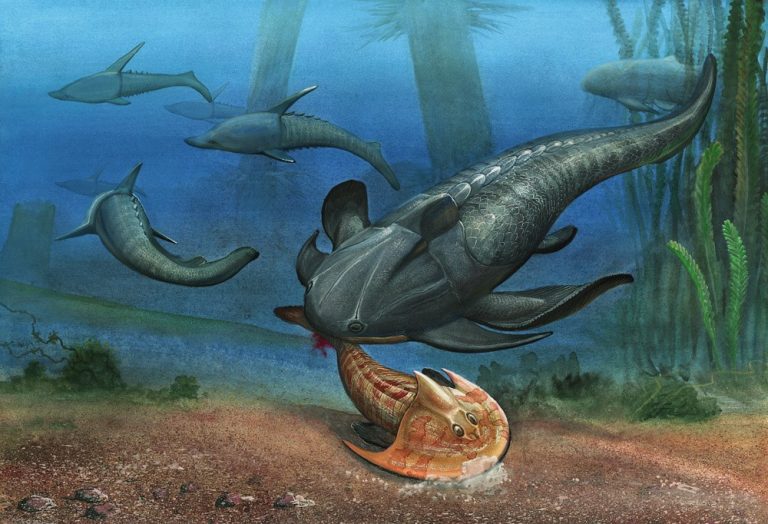 Devonian Period: Climate, Animals & Plants | Paleontology World